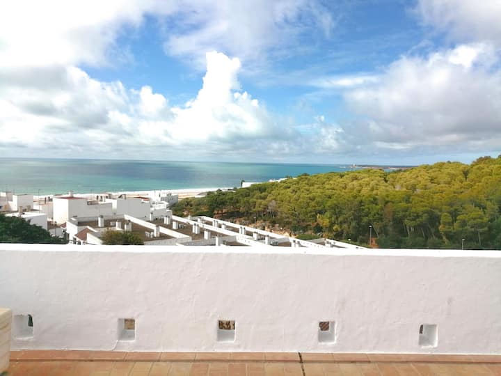 Lirio - Conil de la Frontera