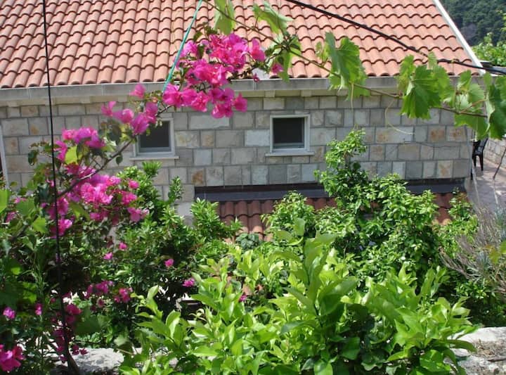 Villa Azure Saplunara - 1 Bedroom Apartment Romana - Mljet