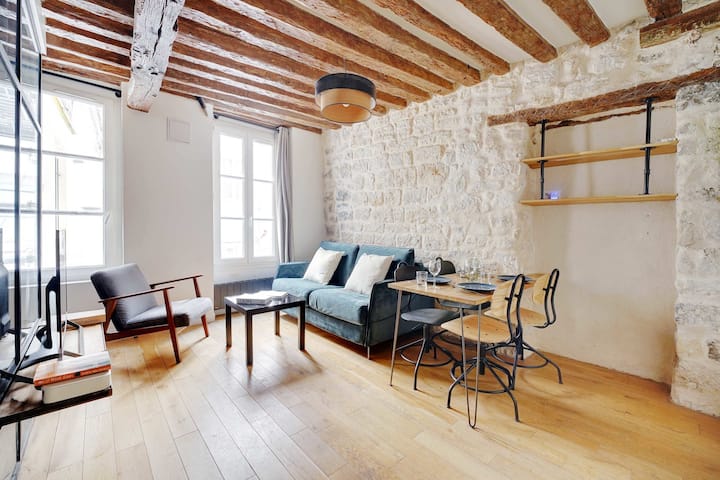 Loft De Charme Avec Verriere & Poutre Authentiques - Panthéon