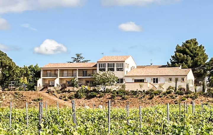 Artemisia - Mirepeisset