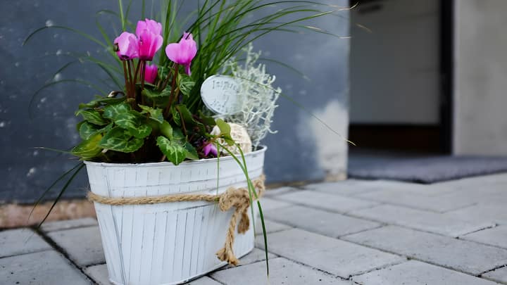 Manus Ferienwohnung - Nürburg