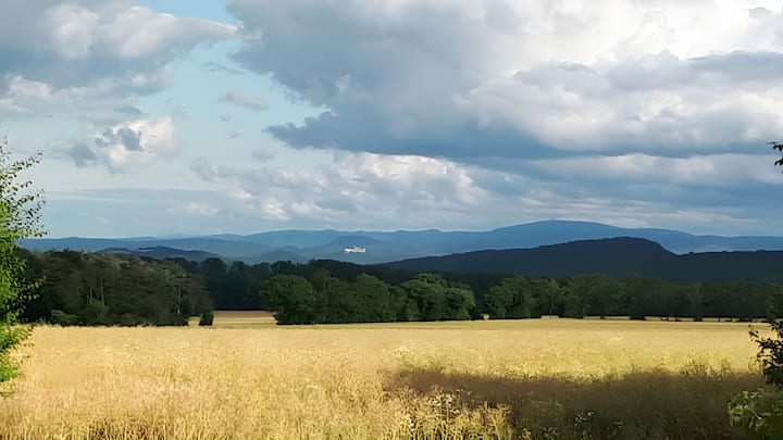Alte Schule Altefeld - Eisenach