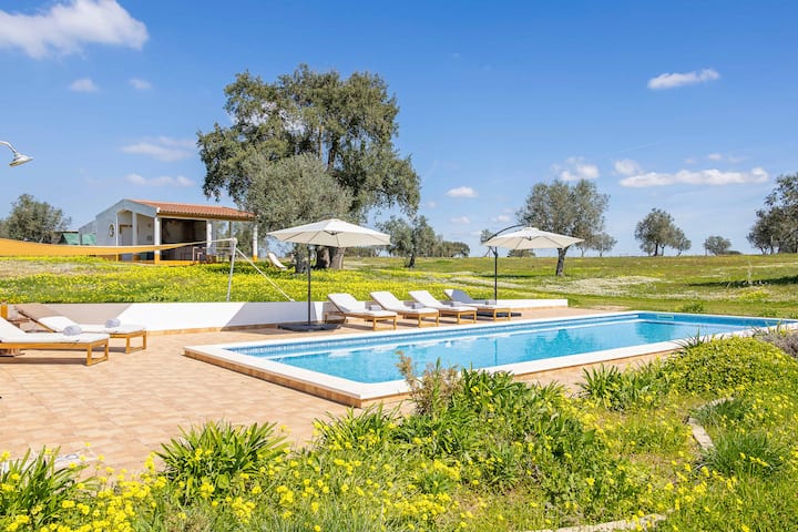Ferme Rurale En Alentejo Avec Piscine Et Intimité - Ferreira do Alentejo