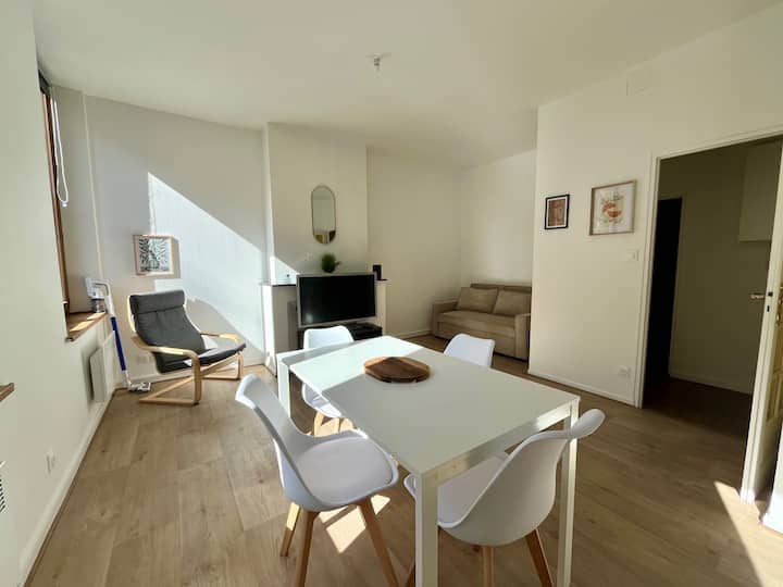 Le Raugraff Logement 4p Nancy Centre Ville - Laxou