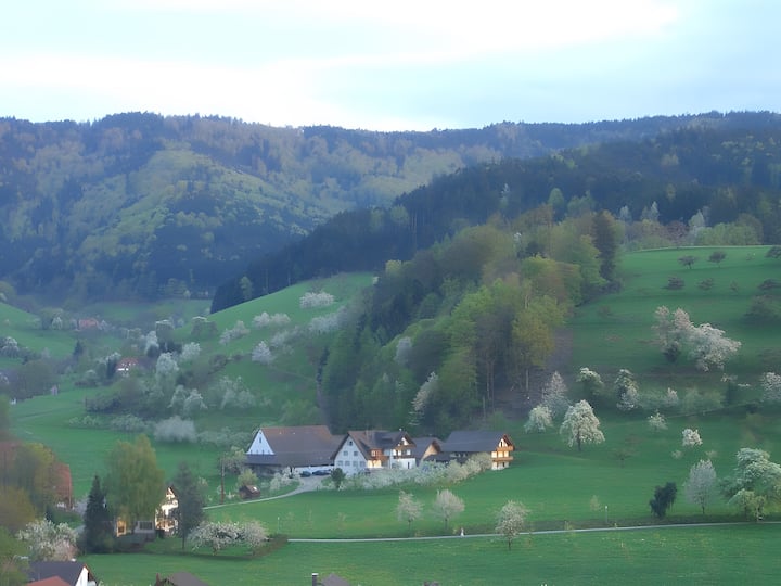 Scharbachhof - Glottertal