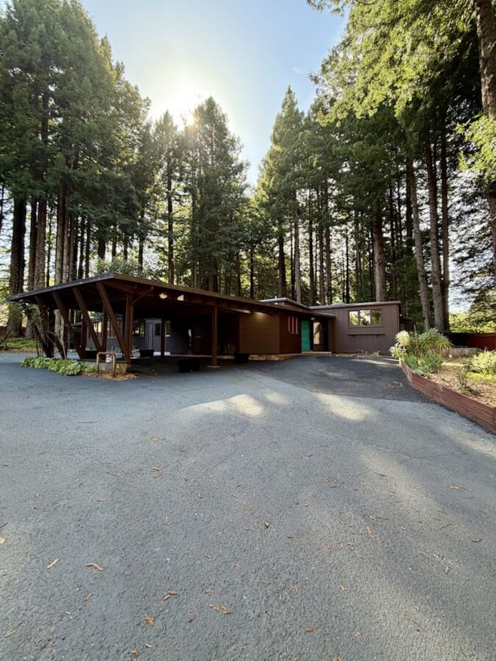 Redwood Retro- Vintage Charm In The Redwoods - ユリーカ, CA