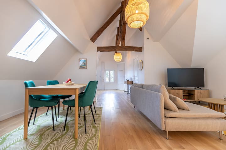 Le Grenier Cocoon · Clim · Charme Et Hyper Centre - Romorantin-Lanthenay