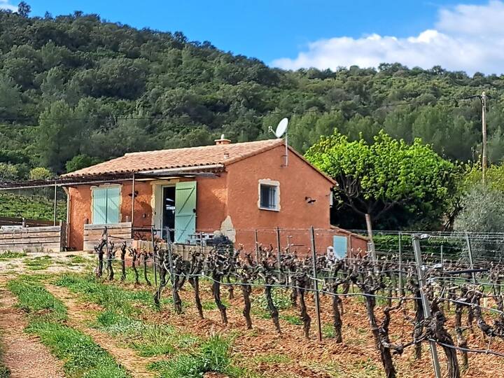 Cabanon C&a - La Londe-les-Maures