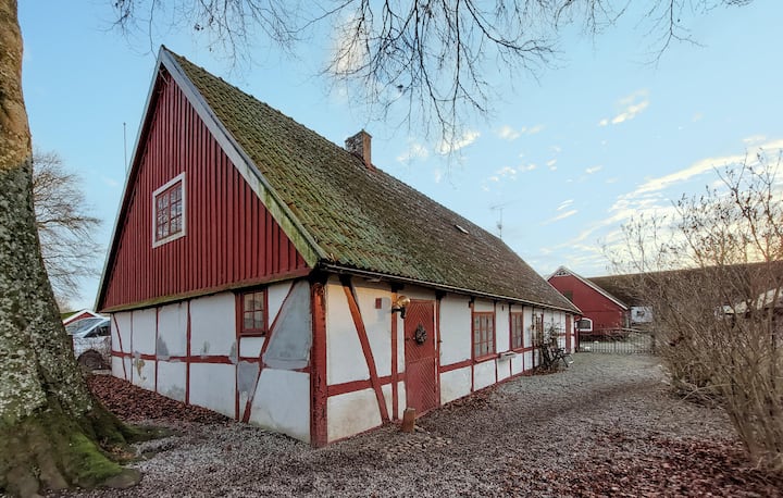 Cozy Home In Sjöbo With Wifi - Sjöbo