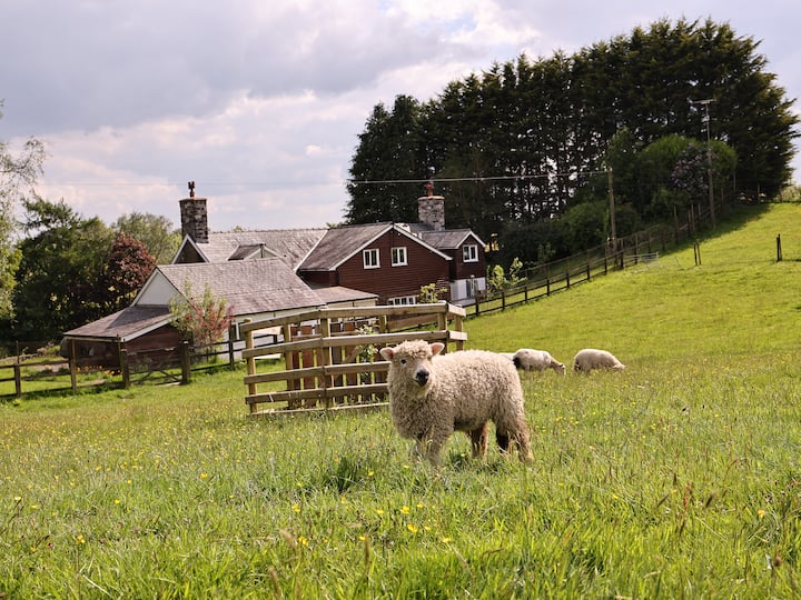 Bryn Y Garreg Cottage - The Wireless Free Farm - Lake Vyrnwy