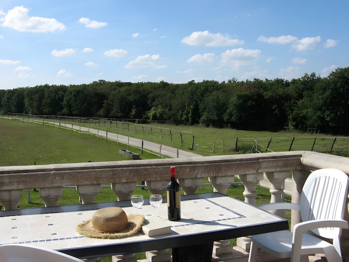 Haras De La Fontaine Datcha - Nemours