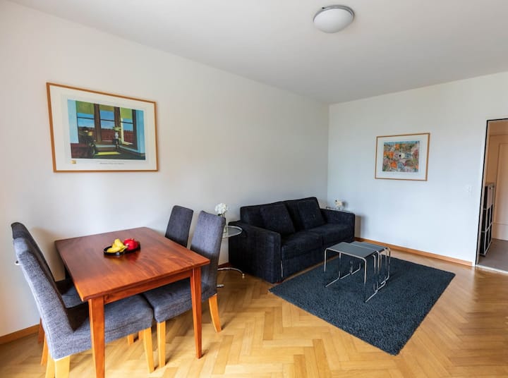 Executive 1br Flat, City Center (Hammer 2) - Zurich