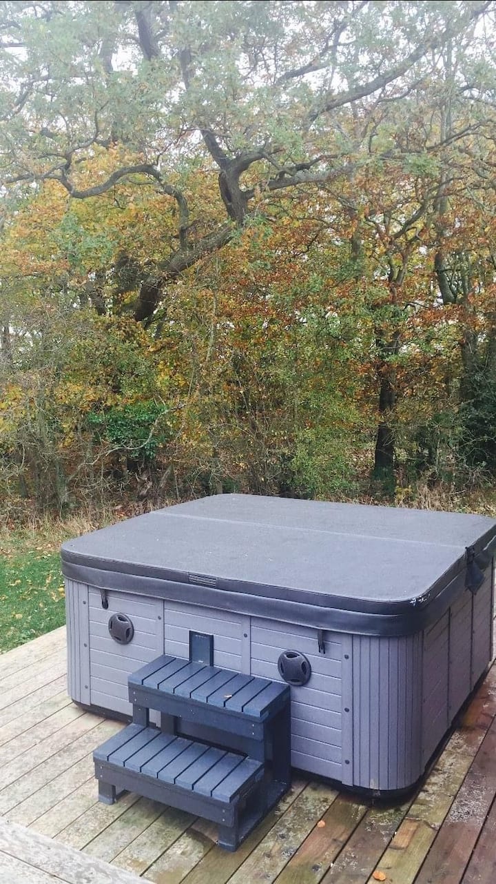 The Shore - Coldingham