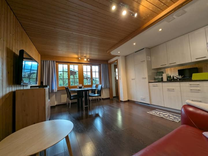 Stieregg Rentals Gmbh Csaw - Grindelwald