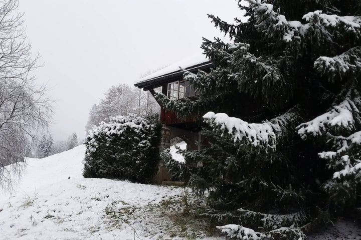 Gemütliches Authentisches Chalet In Gsteig Bei Gstaad - Lauenen