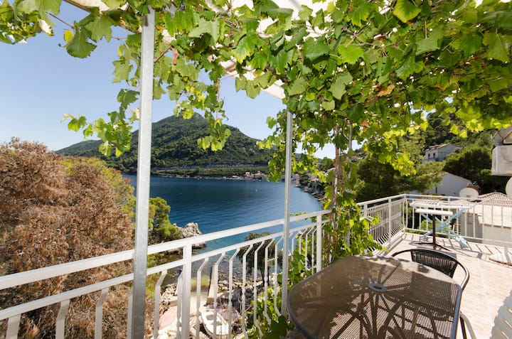 Ferienwohnung ∙ 1 Schlafzimmer ∙ 3 Gäste - Mljet