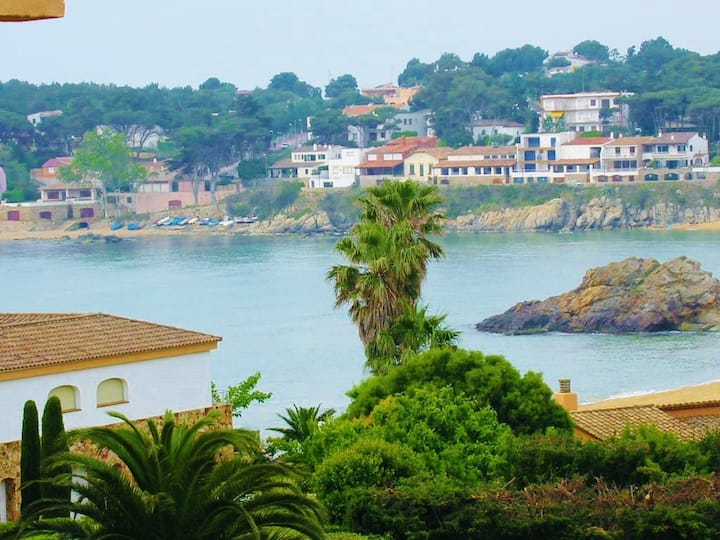 2-wasela 314 - Palamós