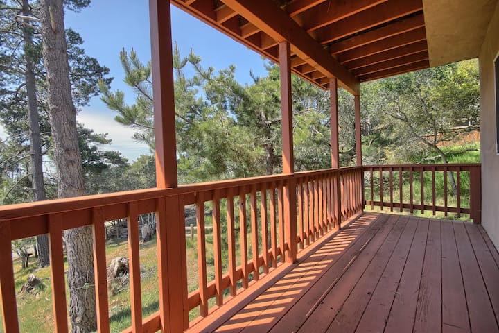 Capercallie Cottage- # Lh38 - Cambria, CA