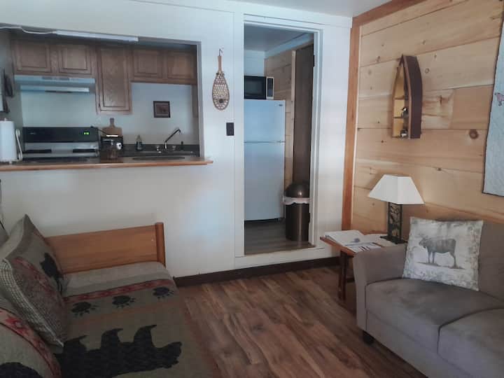 Cabin 1 - Unit 1 At Blue Mountain Rest - Lake Durant, NY