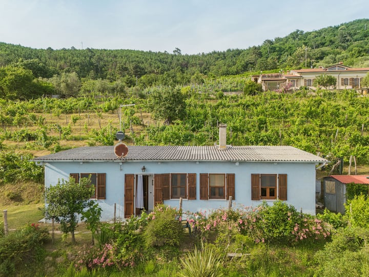 Margherita By Interhome - Forte dei Marmi