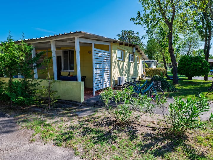 Rosapineta Sud By Interhome - Albarella