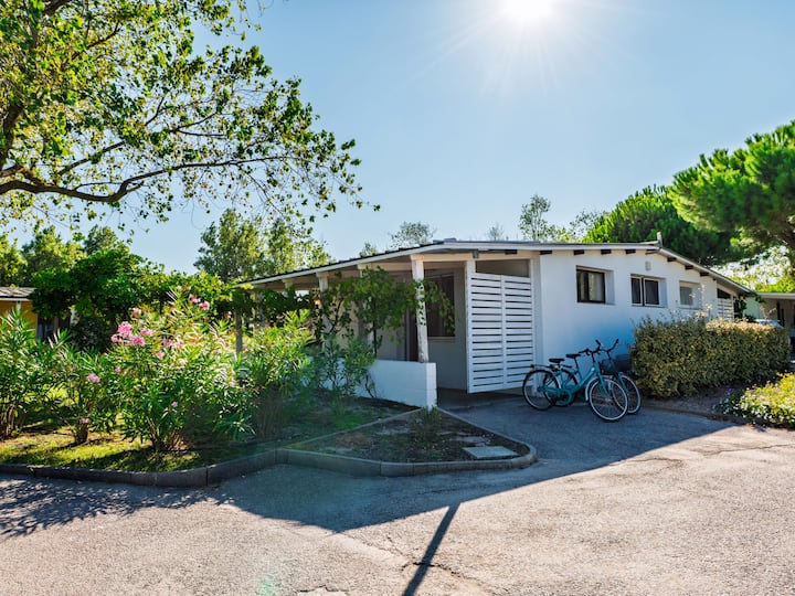 Rosapineta Sud By Interhome - Albarella