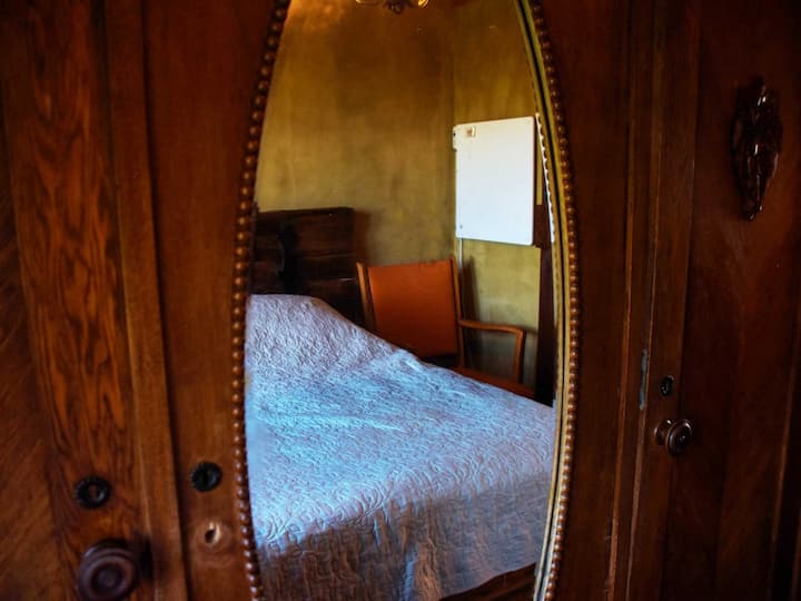 Bird Settlement - Pologne