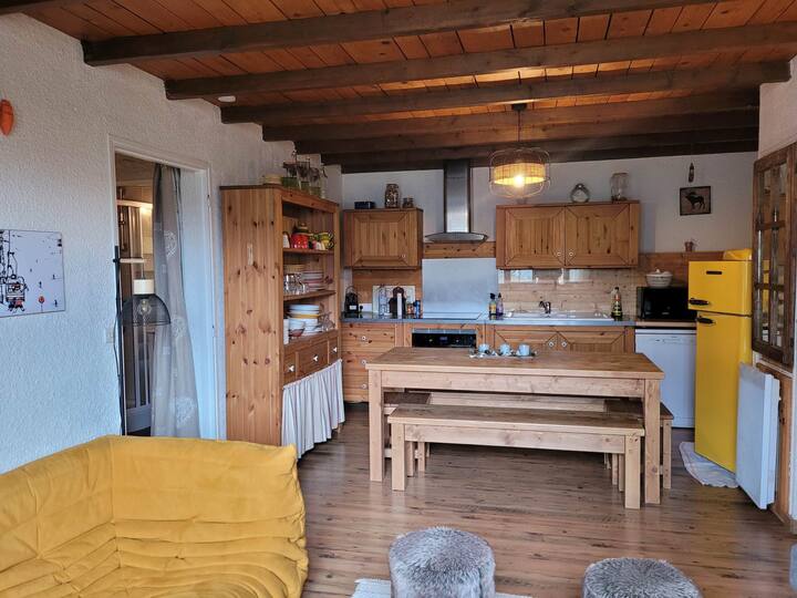 Bel Appartement Rénové 46m2, Bonnes Prestations - Pra-Loup