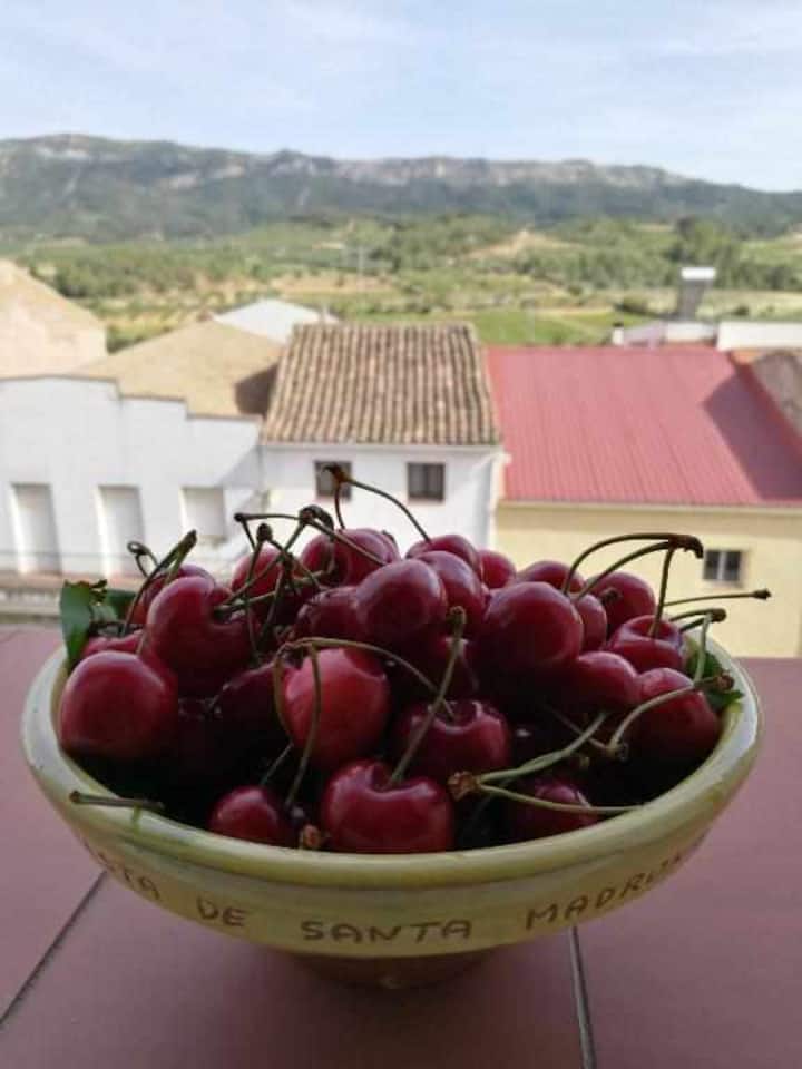 Els Cireres (1) - Bot