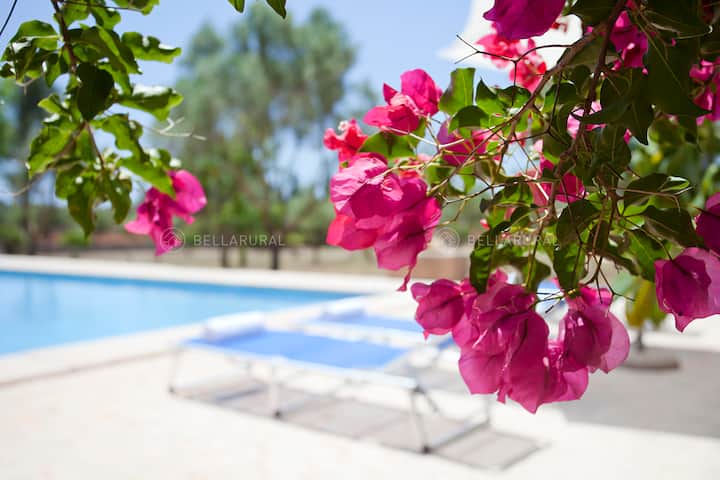 Sa Marineta Nova - Porto Cristo