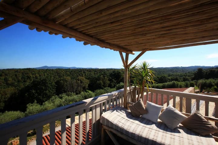 Swim Up Plus - Cecina