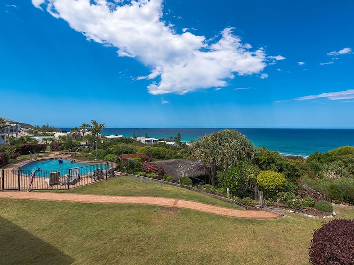 Whale Season Is Upon Us, Watch From Your Balcony - Noosa Heads