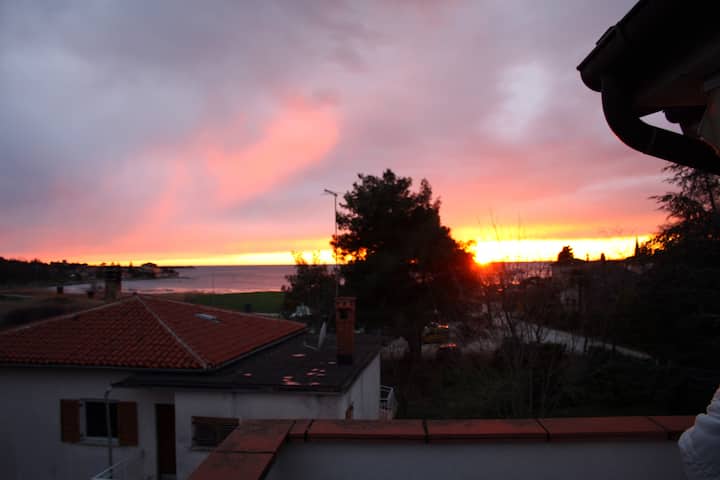 A-2534-a Appartement D'une Chambre Avec La - Novigrad