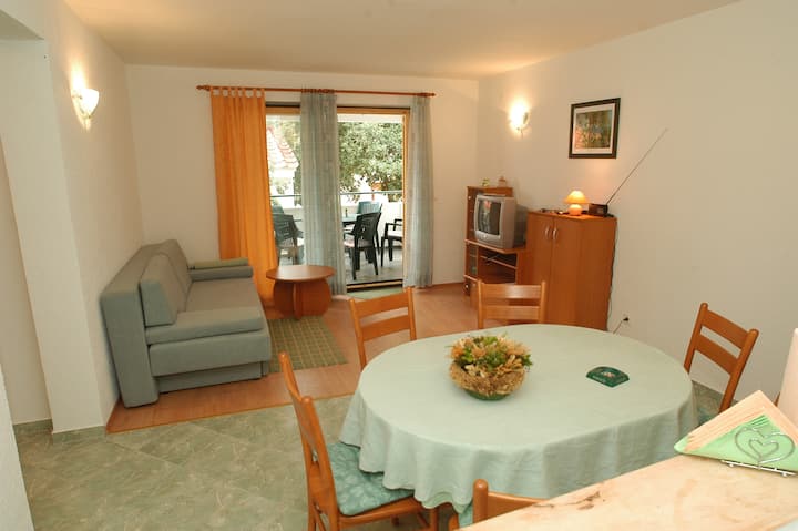 Tweekamerappartement Met Een Terras Petrcane, Zadar (A-6334-c) - Nin