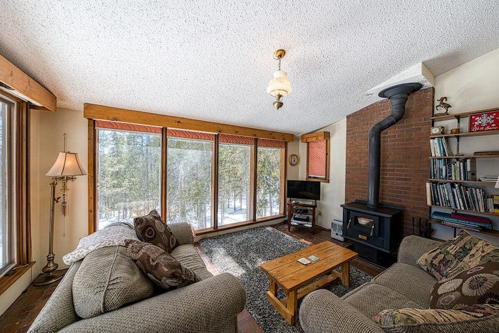 5br Cozy Group Getaway - Views - Game Room - Leadville, CO