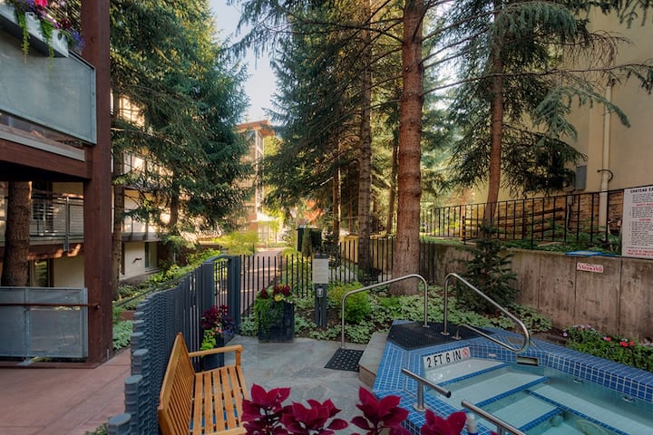 Chateau Eau Claire 1 | Condo With River Views - Aspen, CO