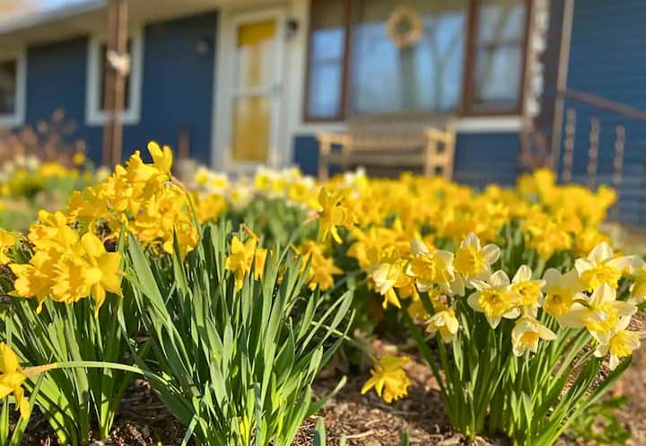 Family Stay • 5 Min To Town, 20 To Dunes + Firepit - Valparaiso, IN