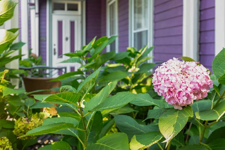 The Wells House: Chestnut View Room - Southold, NY