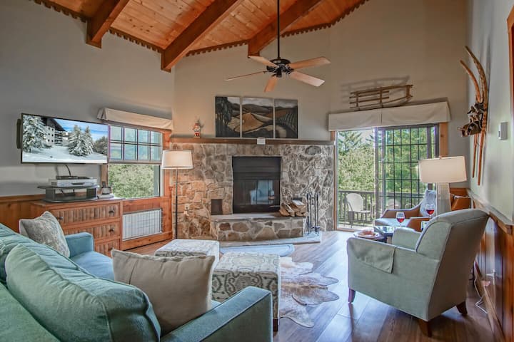 Whistlepunk #18:  4 Bedrooms, 3 Baths: - Snowshoe, WV