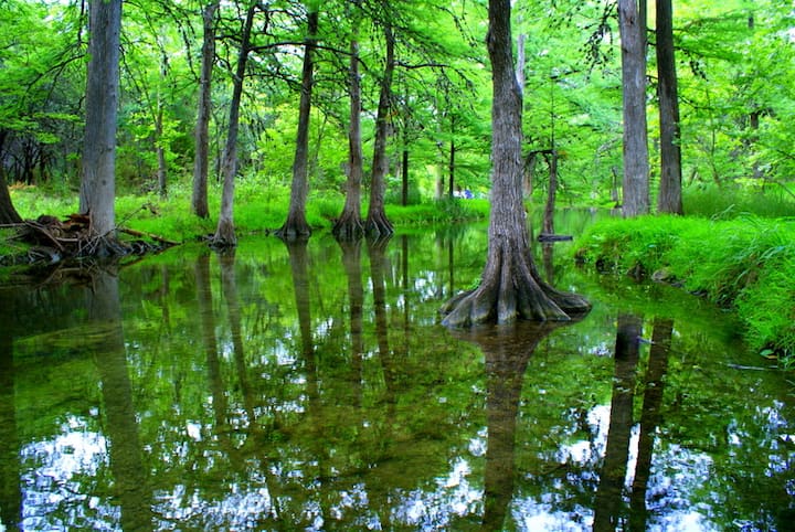 Deer Run- Cottage - Wimberley, TX