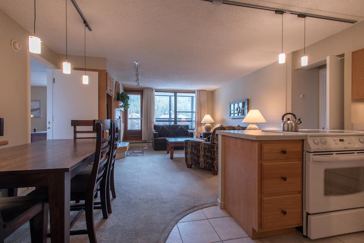 Mountain Plaza 503 - 2 Bedroom Condo - Copper Mountain, CO