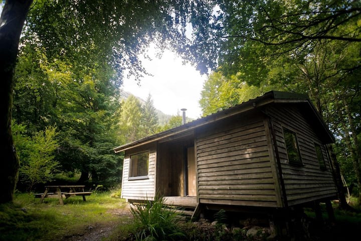 Woodland Cabin- Birch - Glencoe