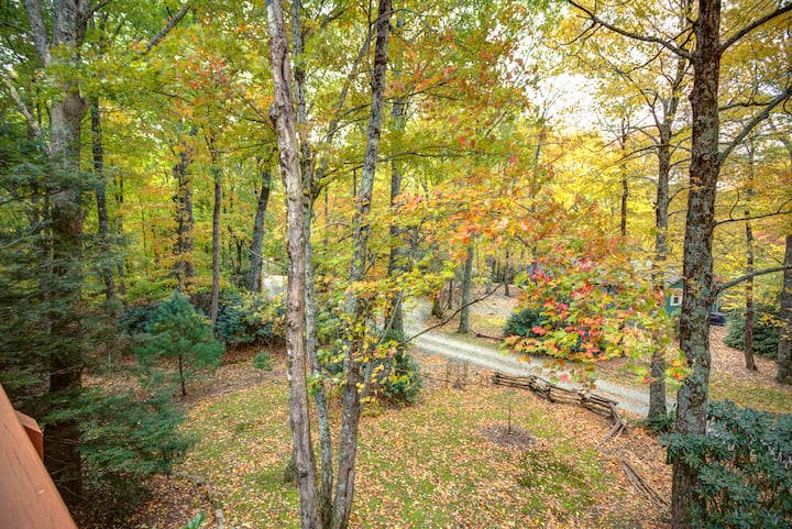 Appalachian Dream Great Retreat Minutes From The S - Boone, NC