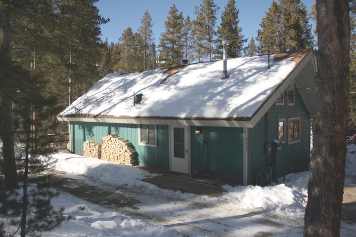 Black Bear Crossing - Pet Friendly - Retro Game Ro - Breckenridge, CO