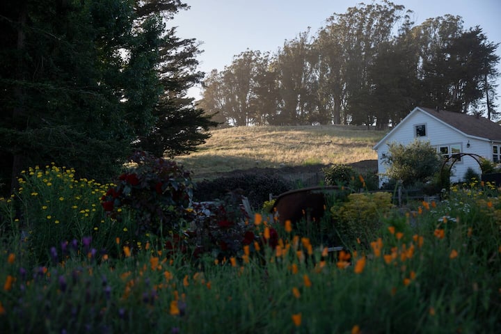 Charming Farmhouse At Stemple Creek Ranch - Dillon Beach, CA