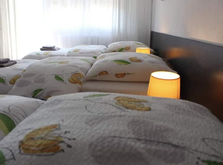 Studios Near Basel Airport - Rm 118 - Basel