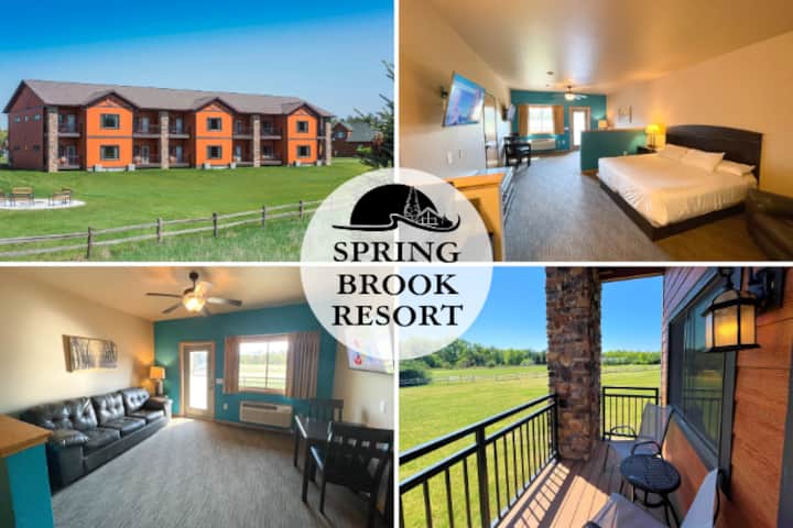 King Hotel Room @ Spring Brook Resort - Wisconsin Dells, WI