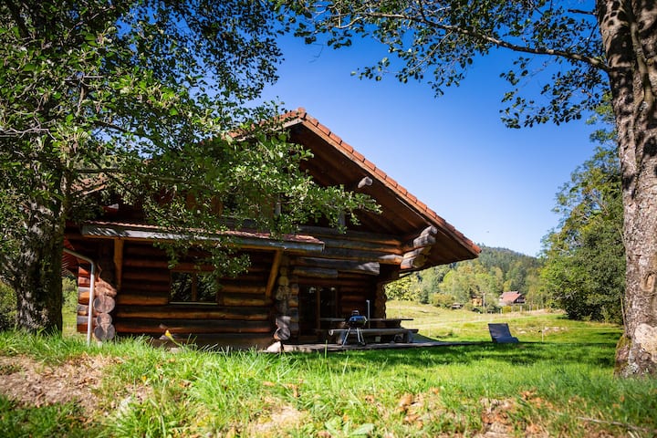 Beau Chalet Rondins 130 M² à La Bresse, Wifi, Tout éQuipé, Proche Domaine Skiable - Vosges