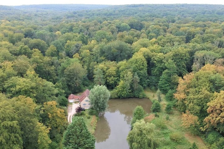 Gite En Forêt - Crépy-en-Valois
