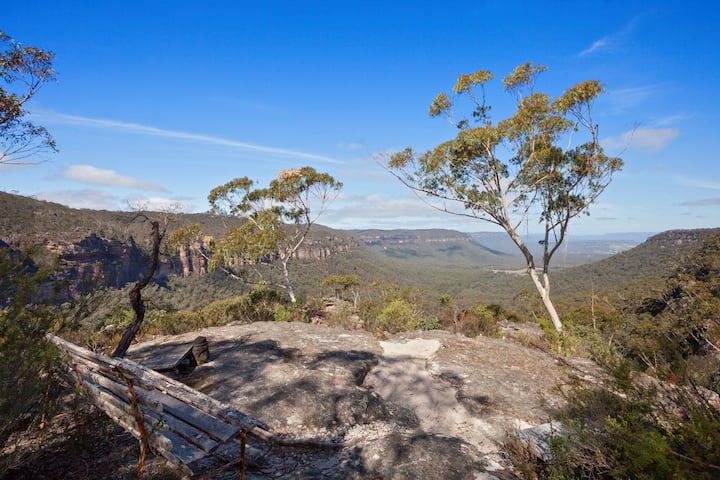 Little Pightle, Shipley Plateau Escarpment - Blue Mountains